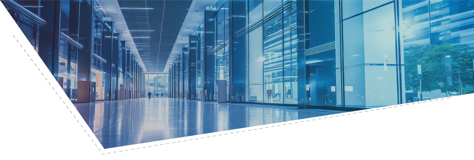 Sistema de Intrusión – Bi Tec – Tecnología e información